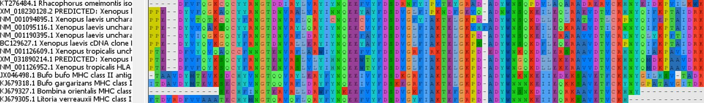 Testing the Waters: My First Research Experience – Summer 2021 ...