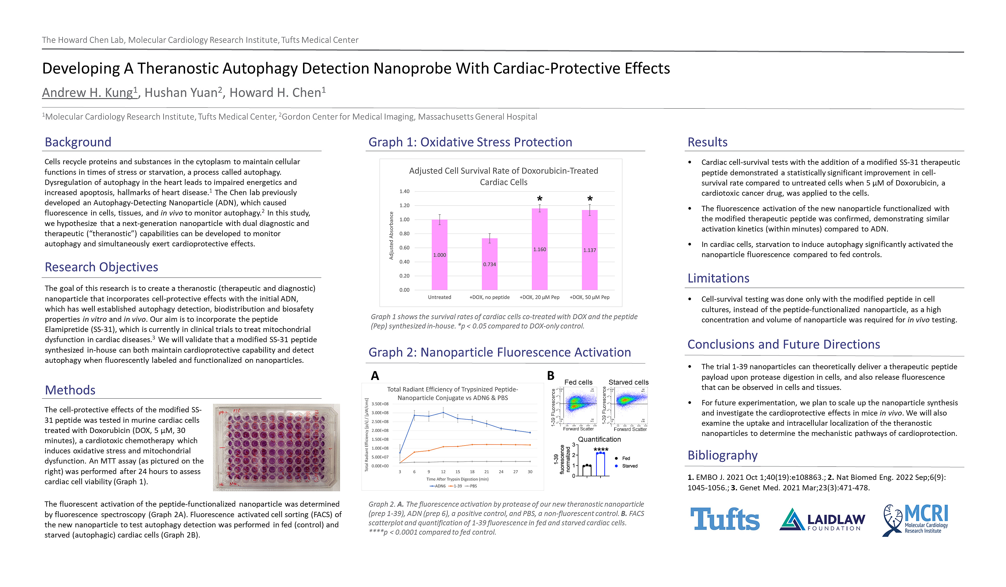 Research Poster: Developing A Theranostic Autophagy Detection Nanoprobe ...